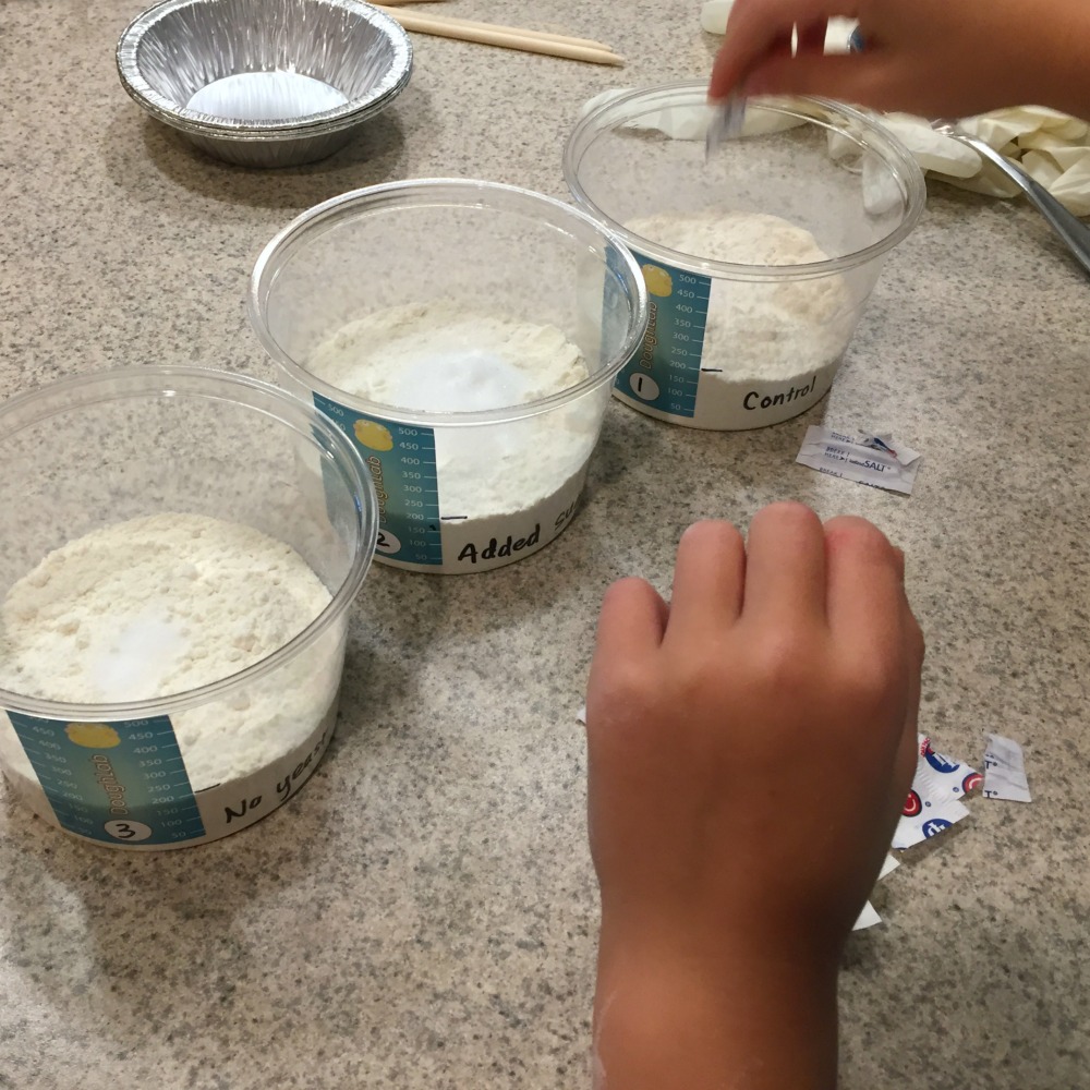 Learning Through Cooking with the DoughLab STEM Kit for Kids - A Nation ...