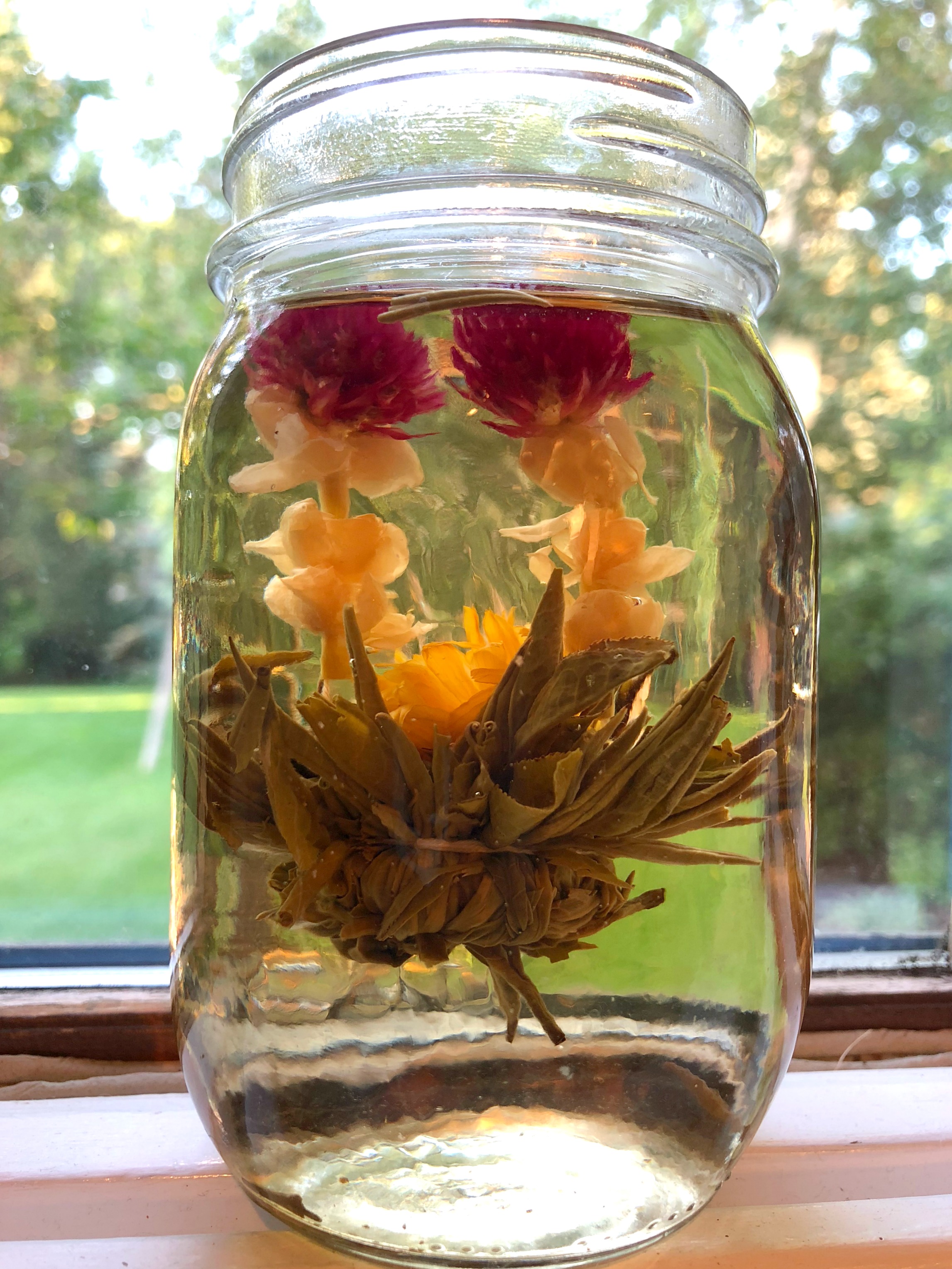 Blooming Teas and More from Teabloom - A Nation of Moms