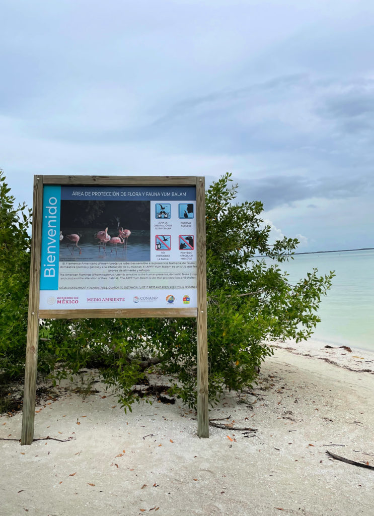 Punta Coco, Isla Holbox, Mexico - A Nation of Moms