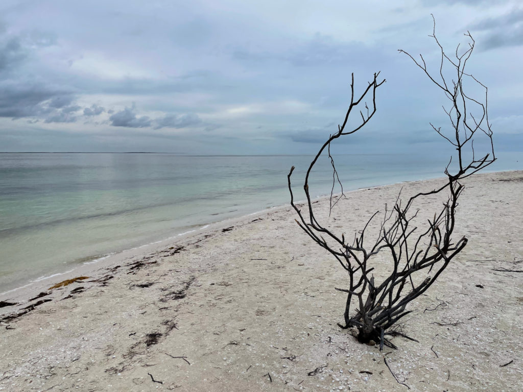 Punta Coco, Isla Holbox, Mexico - A Nation of Moms